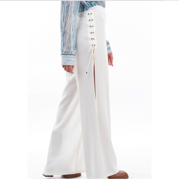 Haute Hippie | Pants & Jumpsuits | New Haute Hippie Silk Trousers Size ...
